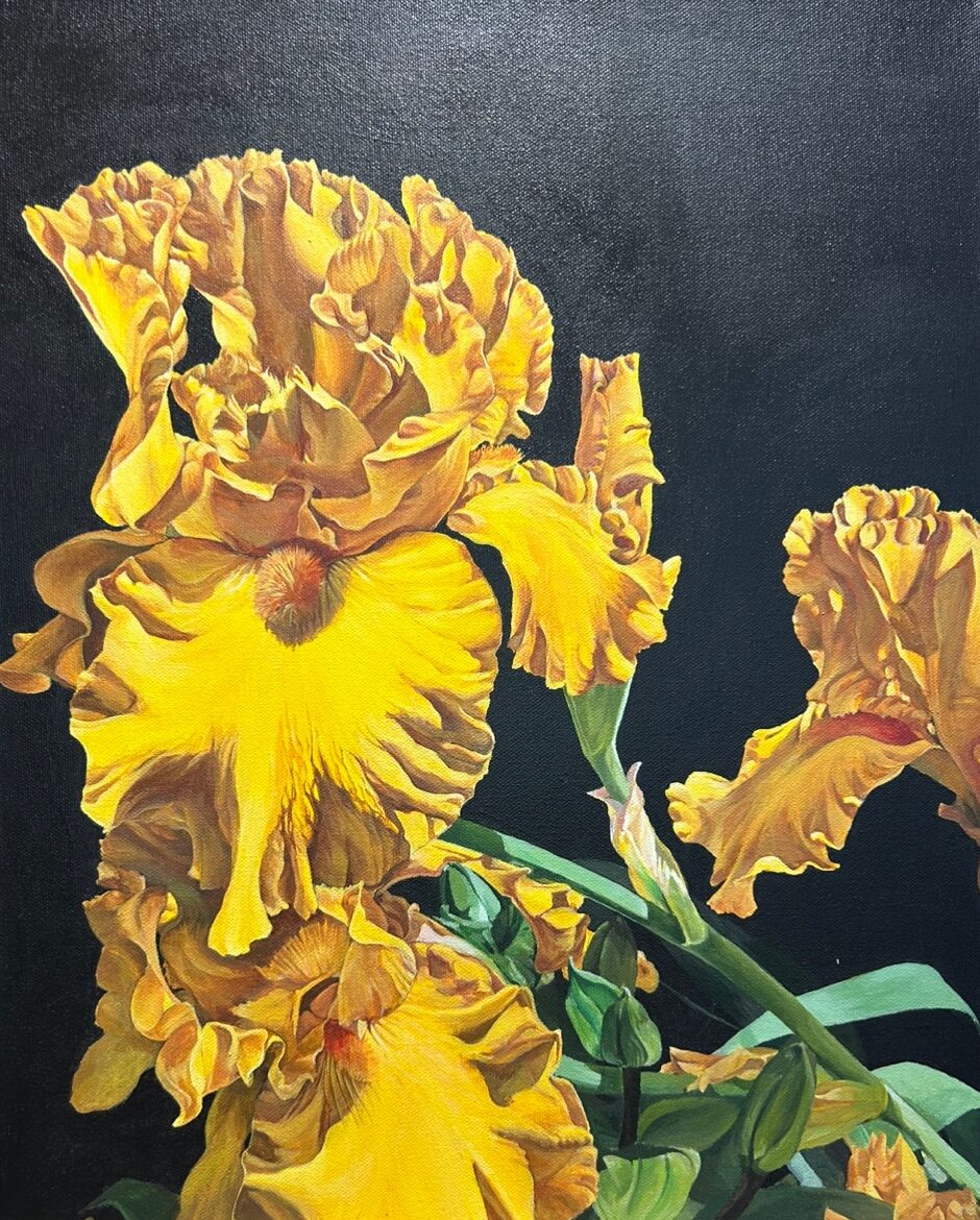 Bearded yellow iris - Art Gong Gan